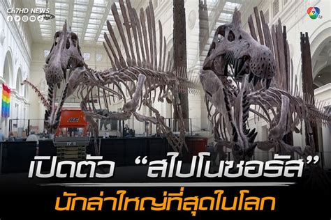 ข่าวเจ้าบ่าวฉลองหนักคืนก่อนงานแต่งงาน เมาเละไม่ได้ไปงานแต่งงาน