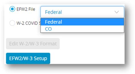 W 2 And W 3 Statements In Checkmark Online Payroll