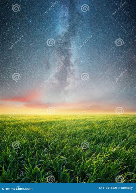 Grass On The Field And Night Sky Stock Image Image Of Milky Scene
