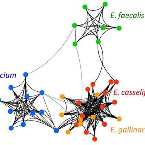 Biosynthetic Gene Cluster Bgc Analysis Using All Complete Genomes Of Download Scientific