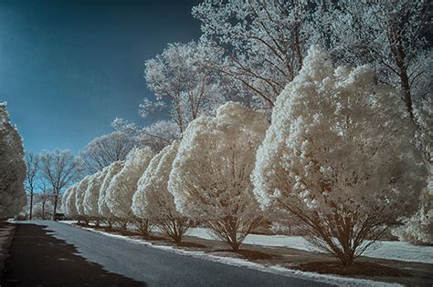 Aperture Priority Vs Shutter Priority Shutterbug