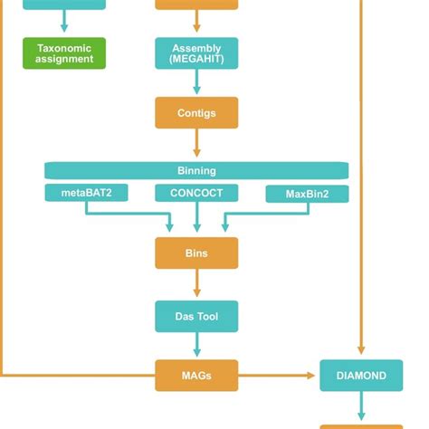 Metagenomics Pipeline Applied In This Study Workflow Of Taxonomic