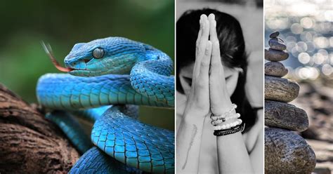 List: Kundalini | Curated by Saint Germain | Medium