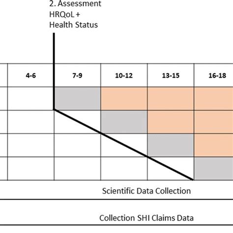 Cluster Based Participant Timeline Download Scientific Diagram