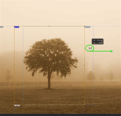 Every Photoshop Tool Explained For Beginners