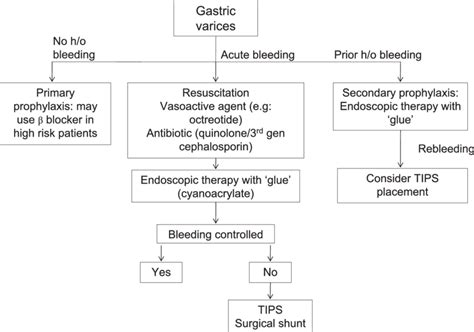 Algorithm For Management Of Gastric Varices Download Scientific Diagram