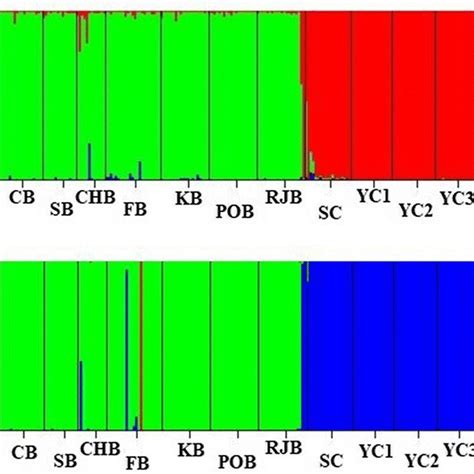 Structure Analysis Of Nssr Data Generated For 21 Populations Of C