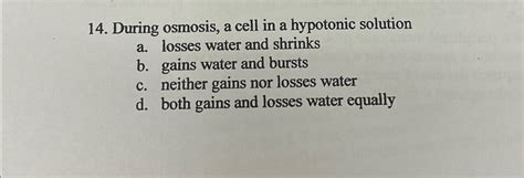 Solved During Osmosis A Cell In A Hypotonic Solutiona