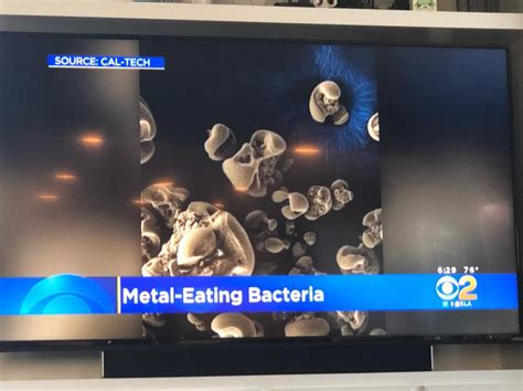 Dylan Natter On Linkedin Metaleatingbacteria