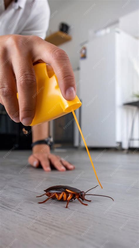 Pest Control Using Household Insecticide To Kill Cockroaches At Home