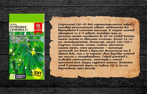 Огурец Пучковая Семейка F1