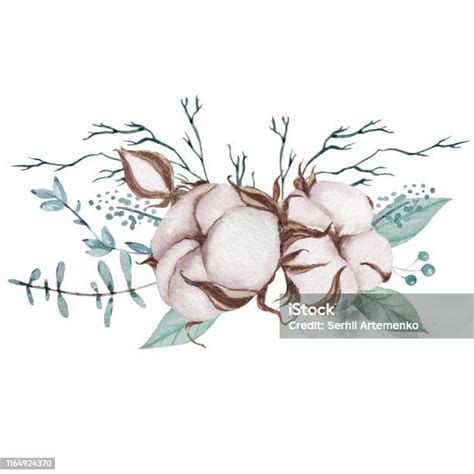 수채화 모란 면 야생 화 꽃다발 예술적 잎 꽃과 가지 조합 손으로 그린 식물 그림 흰색 배경에 고립 된 꽃 Posy 가을에 대한 스톡 벡터 아트 및 기타 이미지 Istock