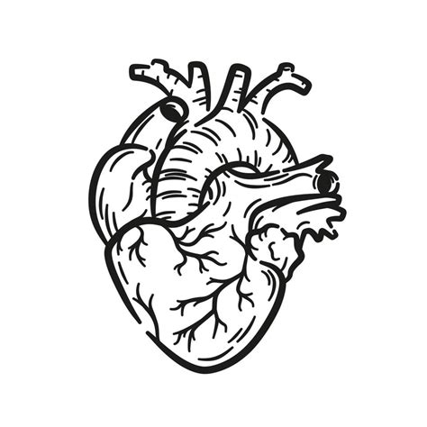 Corazon Es Blanco Y Negro