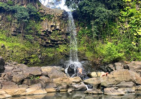 Sacred Sexuality Sacred Sex Comes Of Age Sacred Loving Tantra