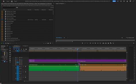Premiere Pro Beta Source Monitor Have Nothing Adobe Community 14424757