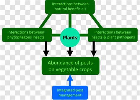 Abiotic Component Interaction Mathematics Technology Transparent PNG