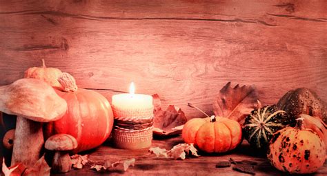 나무에 가을 건조 장식가가있는 가을 배경 복사 공간이 있는 빨간색과 노란색의 파노라마 톤 이미지 0명에 대한 스톡 사진 및 기타 이미지 Istock