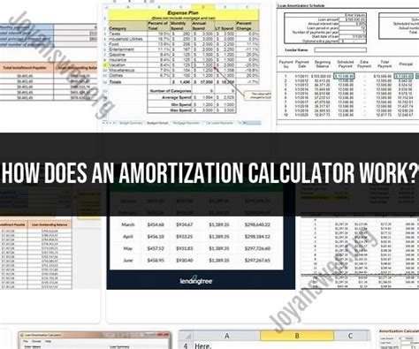 Insights Into Amortization Calculators Financial Tools Explained
