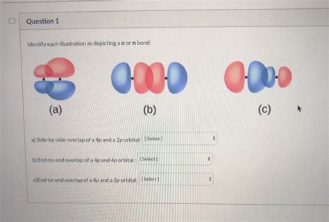 Solved Question 1 Identify Each Illustration As Depicting A