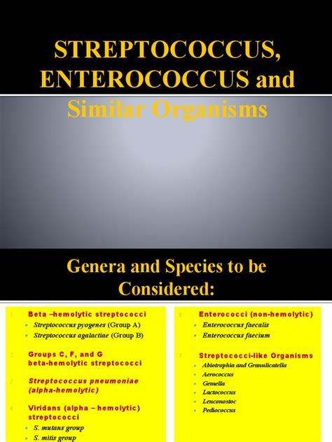 Streptococcus And Enterococcus Pdf Streptococcus Microbiology Streptococcus And Enterococcus Pdf Streptococcus Microbiology