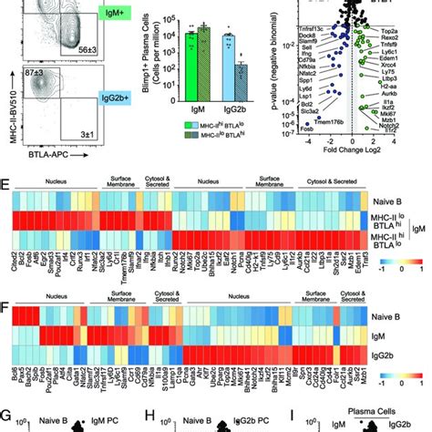 Inflammatory Subclass Igg Effector Pc Programs A Flow Cytometry Of