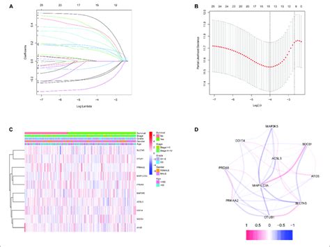 Identification Of Ferroptosis Related Signatures By Lasso Regression