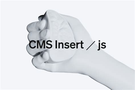Cms Insert Js Webflow Templates Explicit Insert Cms