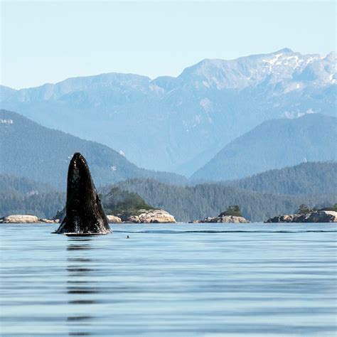 Broughton Adventures At John Keys Blog