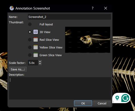 Scale Factor On Images Taken From A Scene Not Working Support 3d