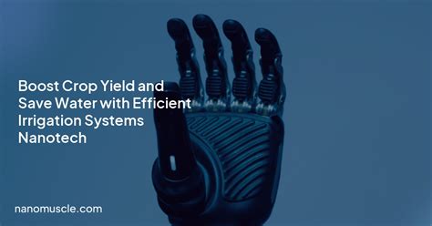 Boost Crop Yield And Save Water With Efficient Irrigation Systems Nanotech
