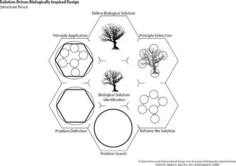 Solution Driven Design Approach Harris 2016 Download Scientific Diagram