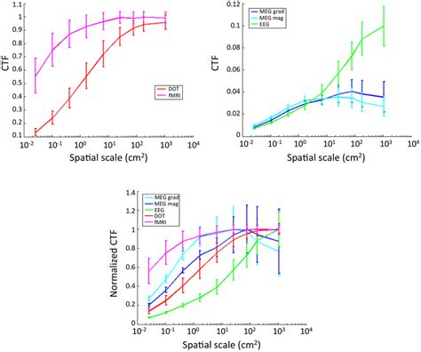 Contrast Transfer Functions Dependency On Spatial Scales Of Brain Download Scientific Diagram