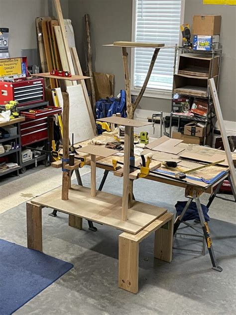 Cat Lovers Learn How To Make A DIY Cat Tree Using Real Branches