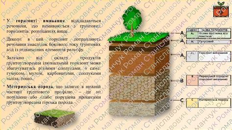 Презентація до уроку географії у 8 класі Ґрунти Основні типи ґрунтів Ґрунтові ресурси