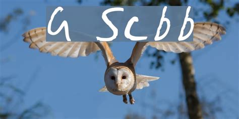 Gimp Scribble Font FFonts Net