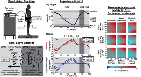 Emulator Based Optimization Of A Semi Active Hip Exoskeleton Concept Sweeping Impedance Across