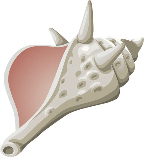 Free Conch Shell Vector Art Download 355 Conch Shell Icons