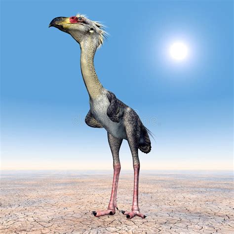 Terror Bird Phorusrhacos Stock Illustration Illustration Of Nature