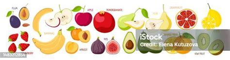 과일과 열매 로고 메뉴 배너 농산물 디자인 시장 라벨 채식 상점 휴일 인사말 카드 및 초대장 여름 파티를 위한 신선한 천연 유기농 식품 요리 재료 배에 대한 스톡 벡터 아트