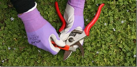 Pruning Tools The Garden Tool Review