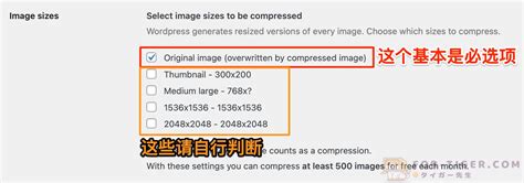 TinyPNG WordPress插件使用说明2025年最新最强图片压缩方法及设置流程 虎先生