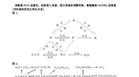 官能团的性质总结八篇 范文118