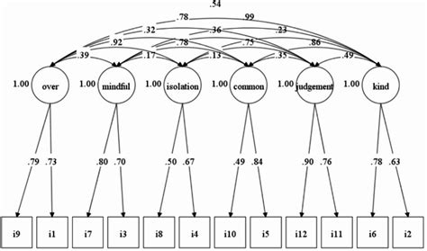 Psychometric Validation And Measurement Invariance Of The Self Compassion Scale Short Form Scs