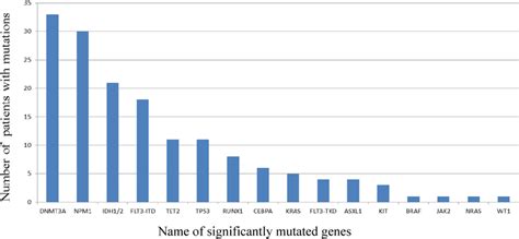 Mutation Frequencies Of Significantly Mutated Genes In AML Patients Download Scientific Diagram