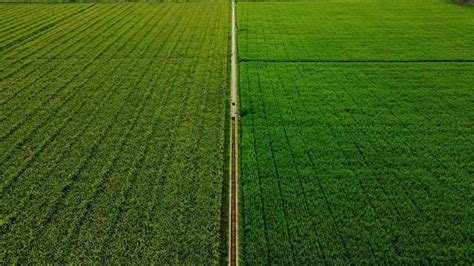 How Did The Industrial Revolution Impact Agriculture Agruculture Lore