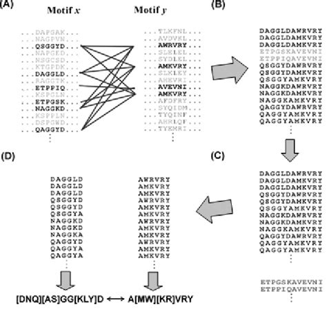 Discovering Consensus Sequence Motif Pairs From Protein Interaction Data Download Scientific