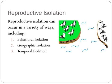 Reproductive Isolation