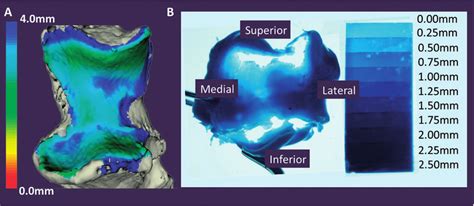 Proximity Mapping Validation Using Experimental Casting The Proximity Download Scientific
