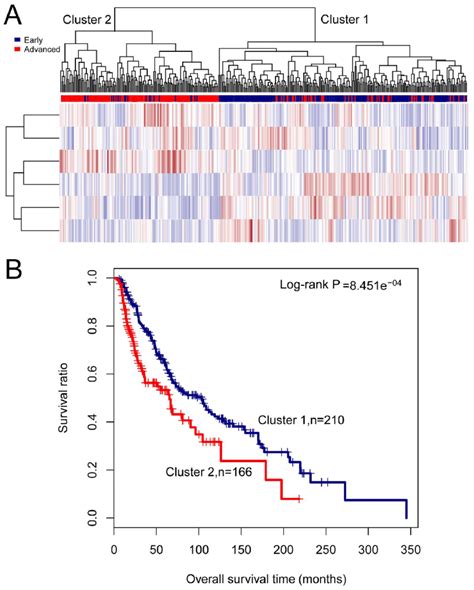 results of the two way hierarchical clustering analysis based on six
