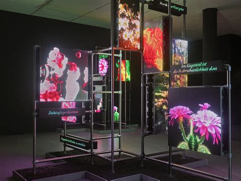 Hito Steyerl At K21 Kunstsammlung Nordrhein Westfalen Art Viewer